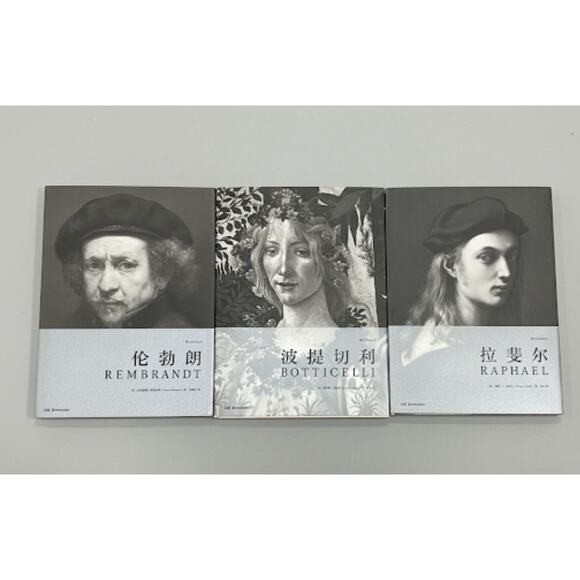 Accents | Rare Art Book Collection Rembrandt Botticelli Raphael Chinese ...